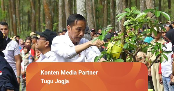 Presiden Jokowi Lepas Elang Jawa dan Tanam Pohon di Merapi | kumparan.com